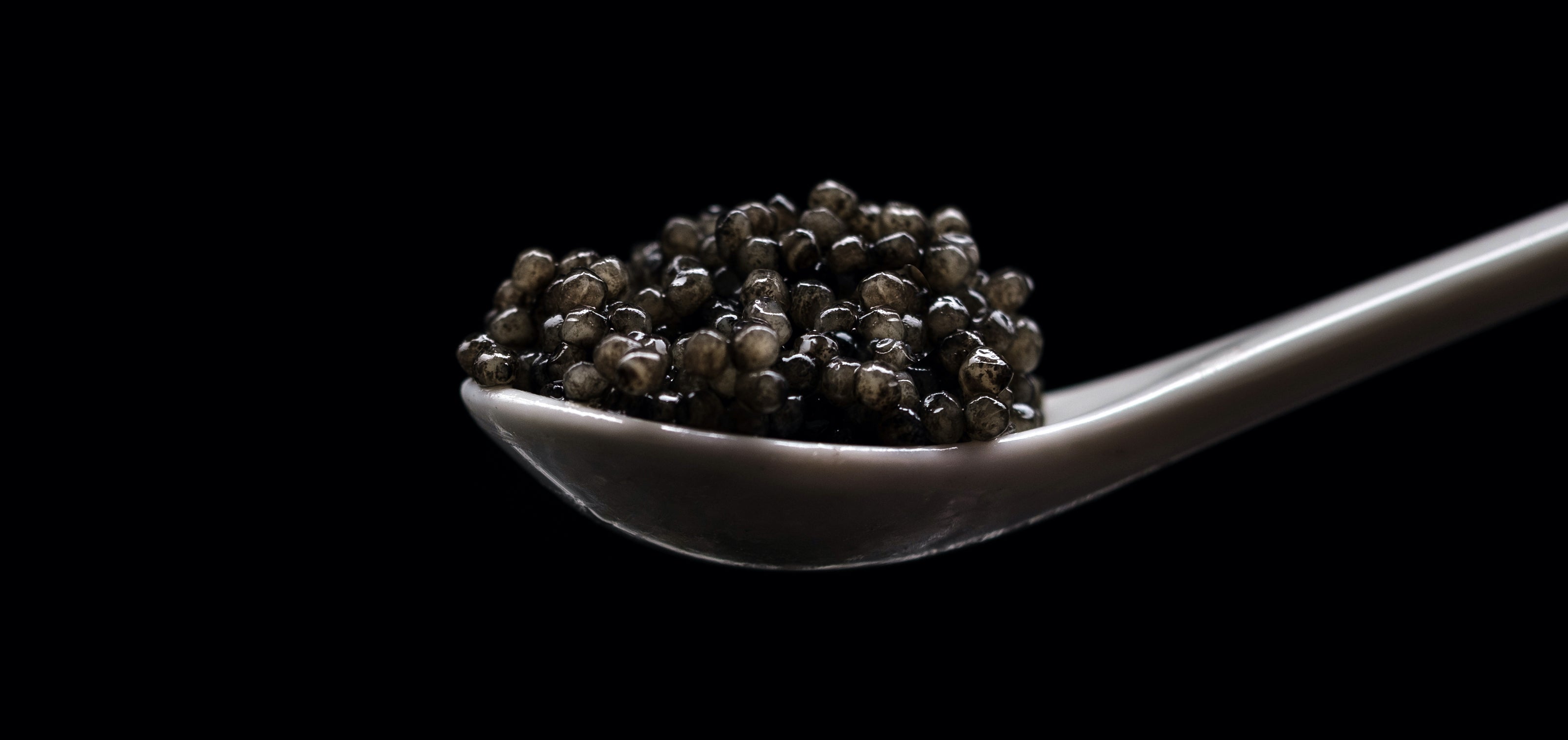 VantaBlack Caviar | Unleash a timeless indulgence